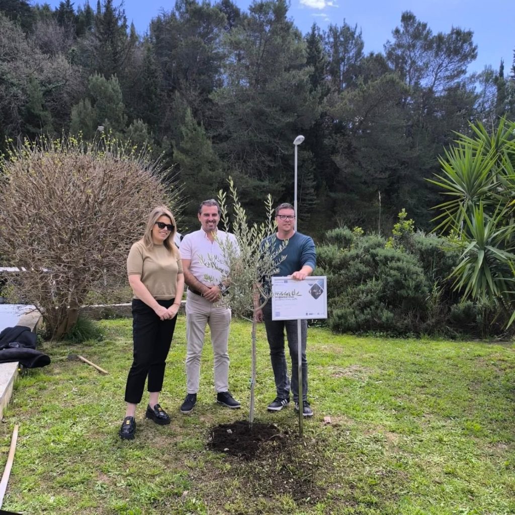 Tree planting in Herceg Novi, Vukovar, and Tuzla marks new phase of ...