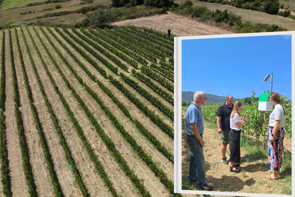Smart pest trap installed, two sophisticated laboratories for wine and ...